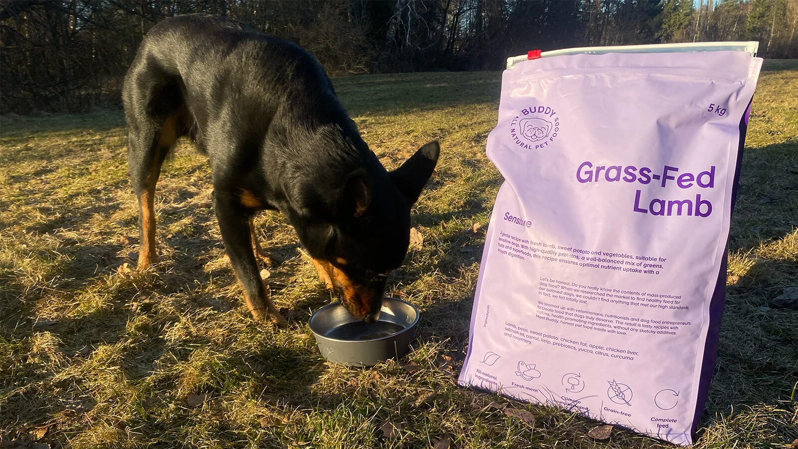 Buddy Pet Foods – Recension av Grass Fed Lamb hundmat